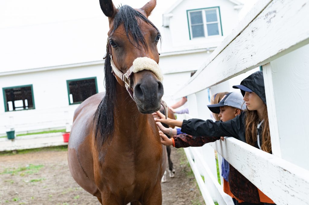 MSSPA-10 - Animal Refuge League