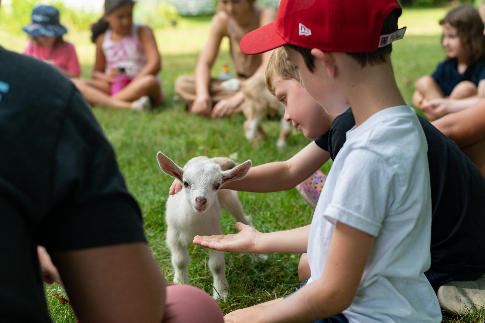 Humane Education Programs - Animal Refuge League of Greater Portland ...