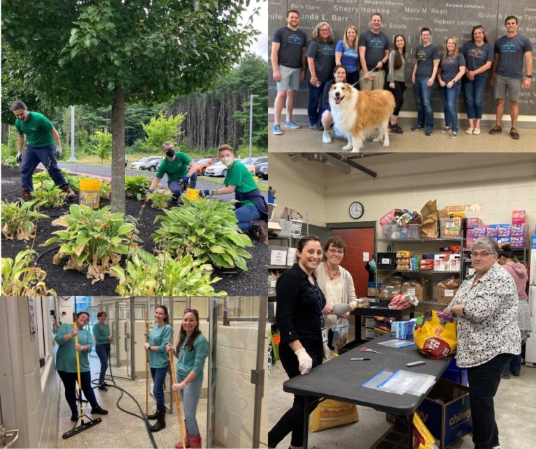 Corporate Day of Service Program - Animal Refuge League of Greater ...
